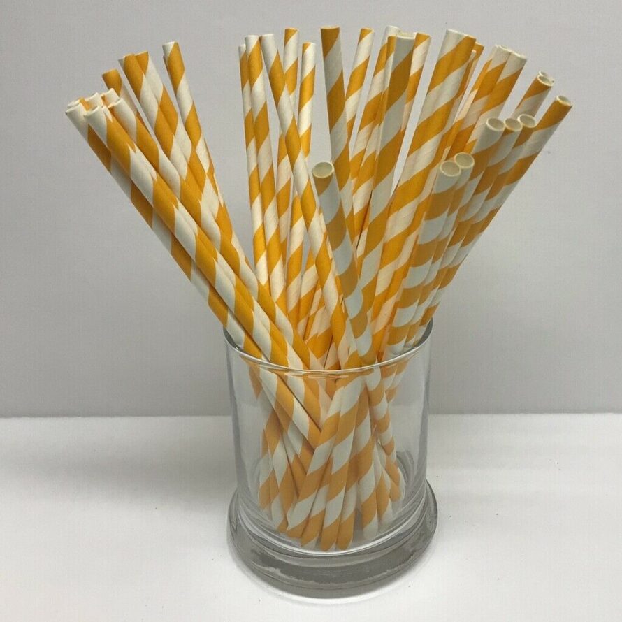 6000 Paper Straws – Choose Colour – My Little Worlds